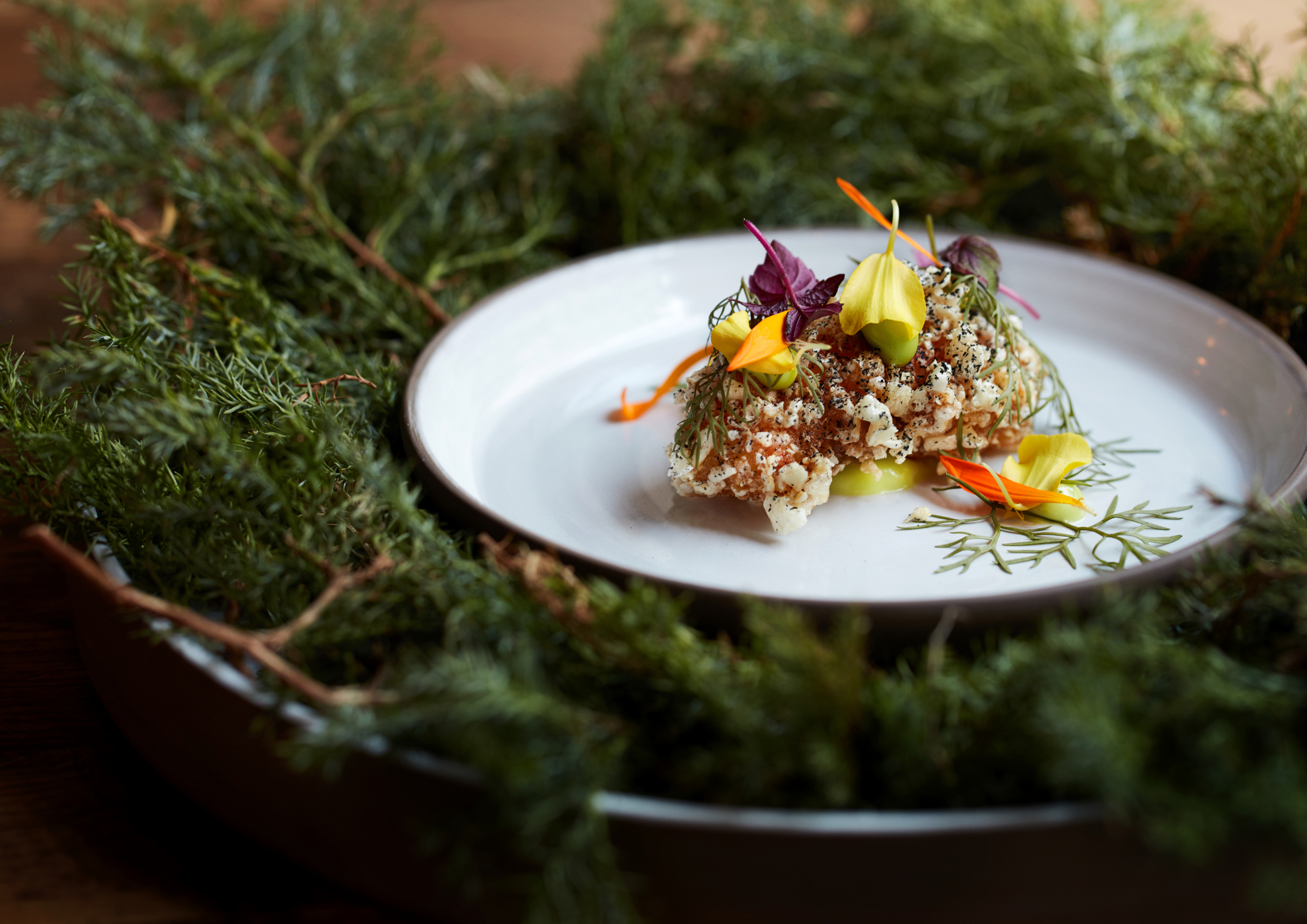 Cofocos Restauranter | Cofoco